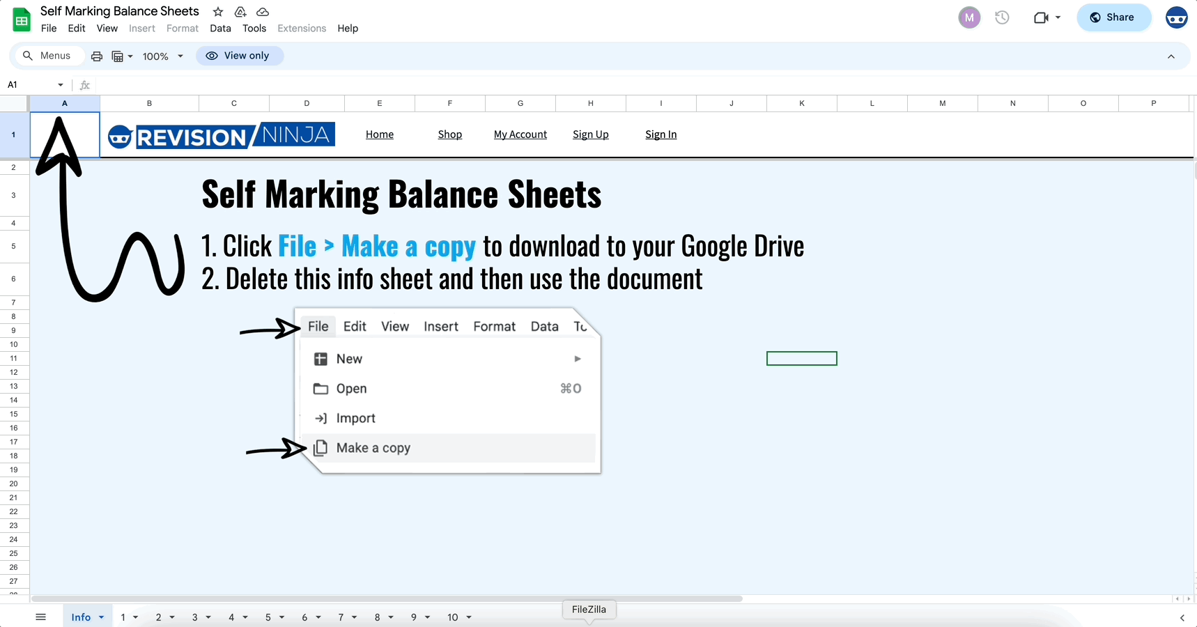 Self Marking Balance Sheets (Answers) – Revision Ninja Ltd